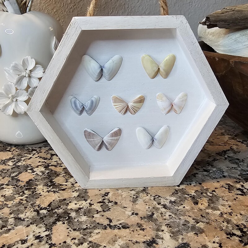 Framed Shell Art - Etsy