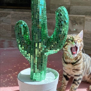 Green Disco Cactus Home Decor - Etsy UK