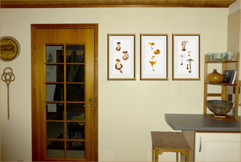 Cep Mushroom Print From Watercolour Painting - Etsy