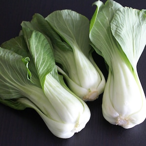 Pak Choi Cabbage Seeds - Also Known as Bok Choy or Chinese White ...