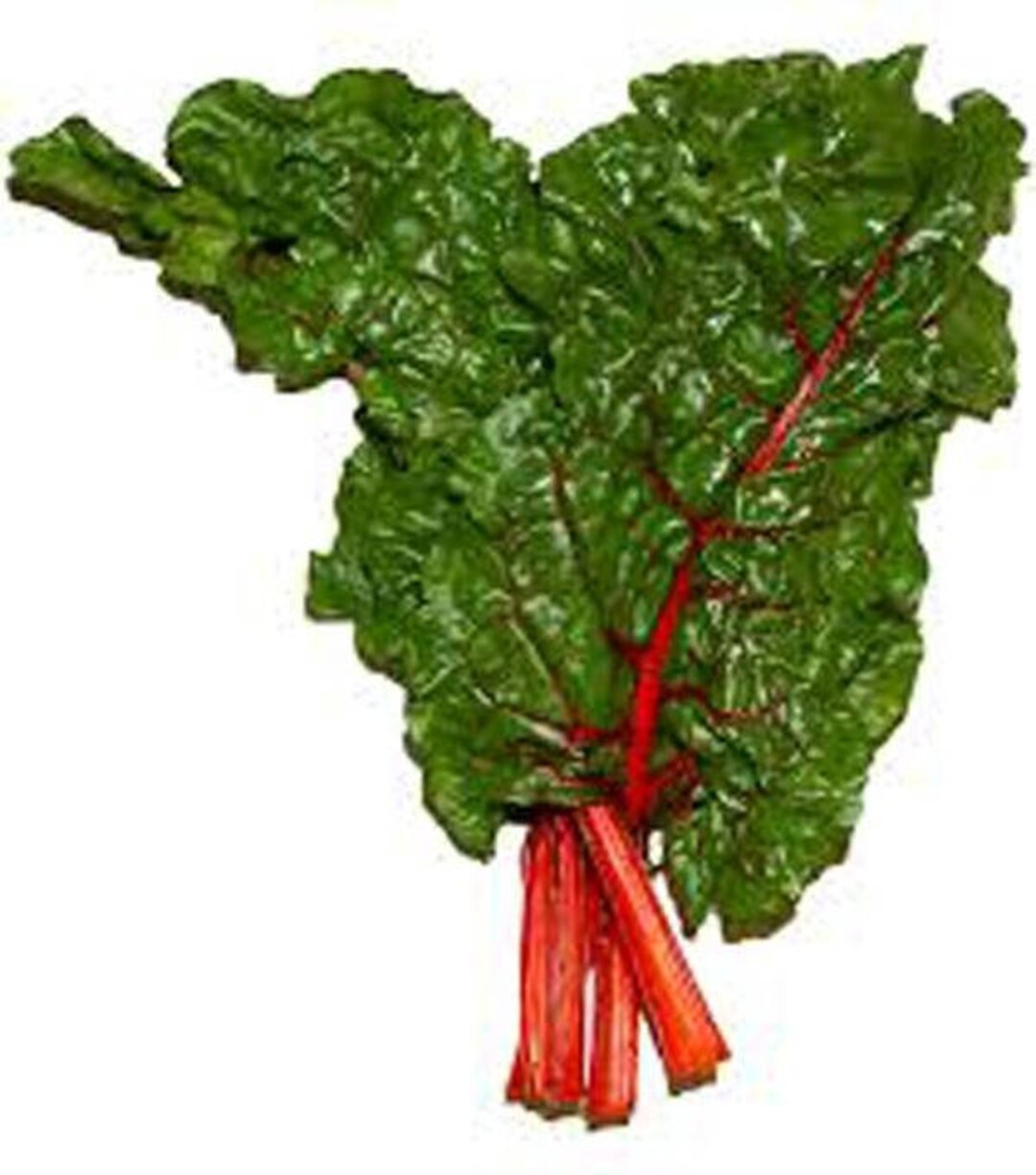 Swiss Chard, Ruby Red Swiss Chard Seeds, Heirloom, NON GMO, Country ...