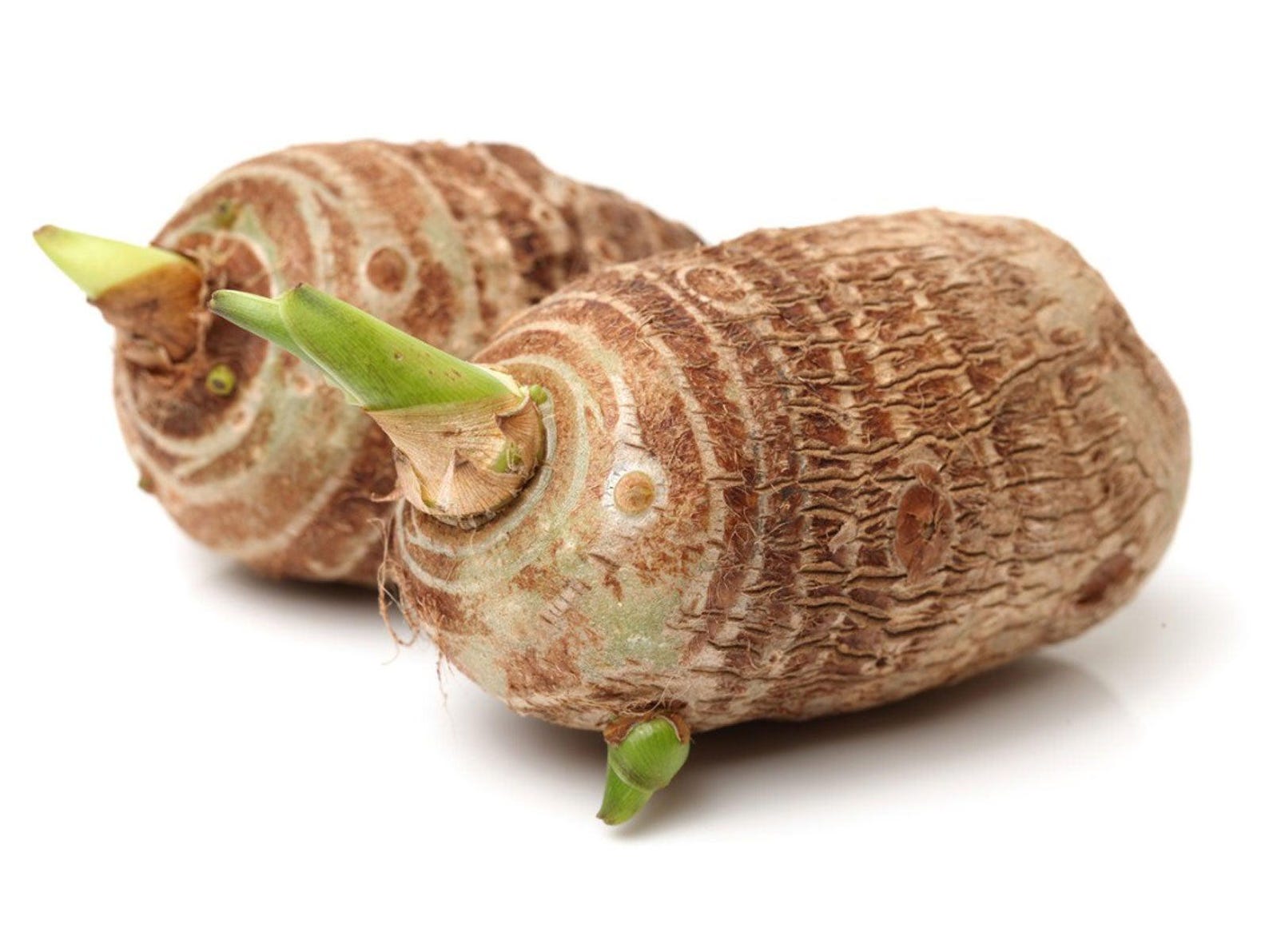 Fresh Taro Root - Premium Quality, Nutritious, & Versatile, Plant Taro ...