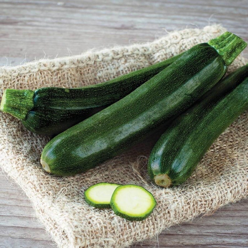 Zucchini Black Beauty Zucchini Seeds Heirloom NON GMO - Etsy