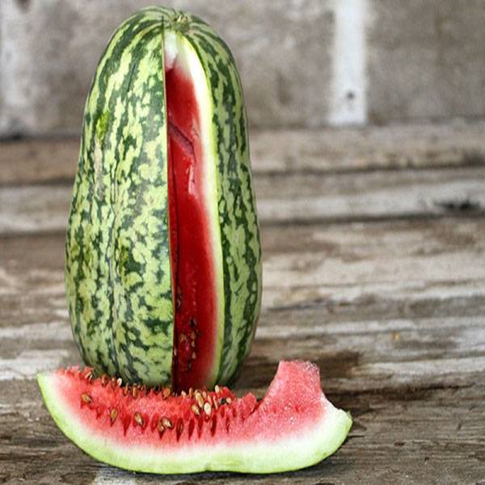 Craft Supplies & Tools Country Creek Acres Heirloom Watermelon Seeds ...