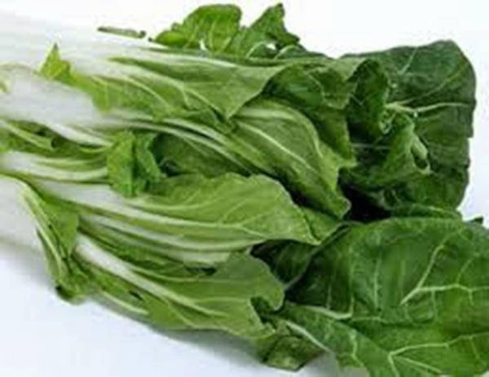 Swiss Chard, Large White Ribbed Swiss Chard Seeds, Heirloom, NON GMO ...