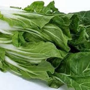 Swiss Chard, Large White Ribbed Swiss Chard Seeds, Heirloom, NON GMO ...