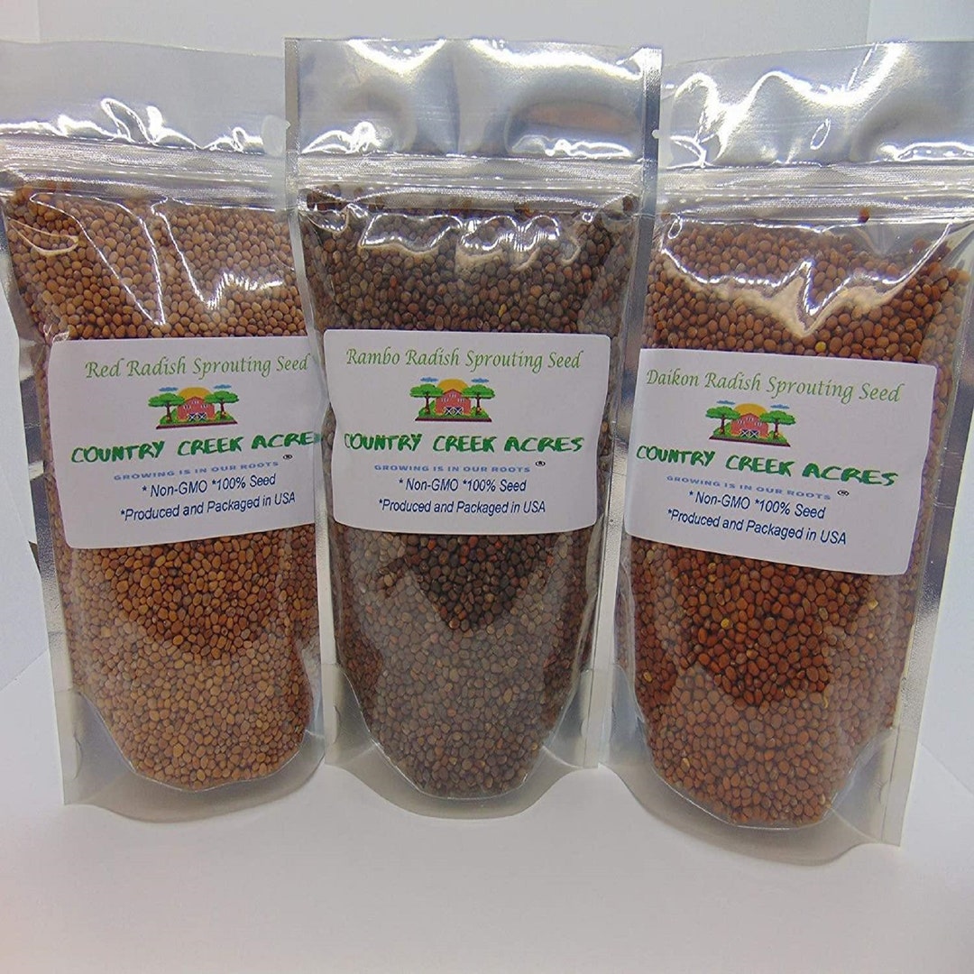 Radishing Microgreen Assortment Seeds, Red, Daikon & Rambo Radish ...