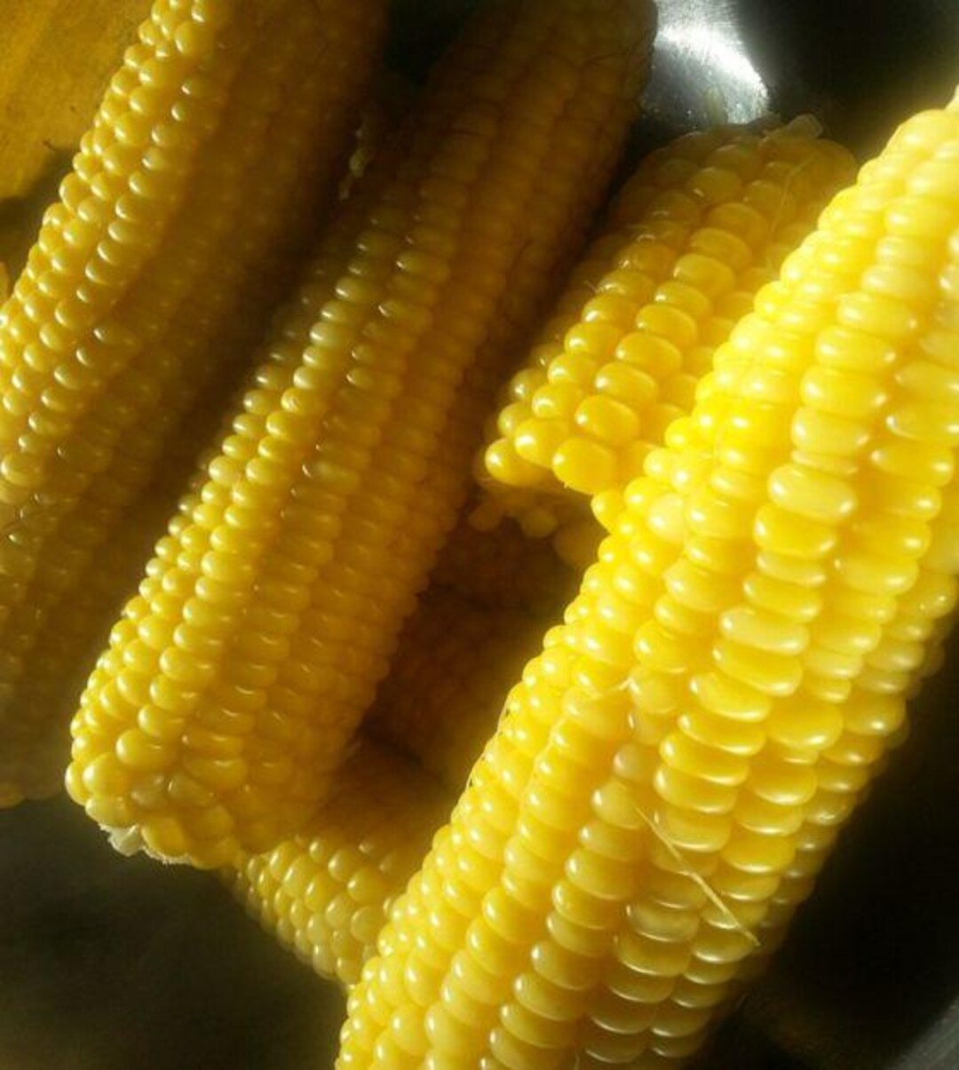 Jubilee Sweet Corn Seeds - A Popular, High-yielding Hybrid Known for ...