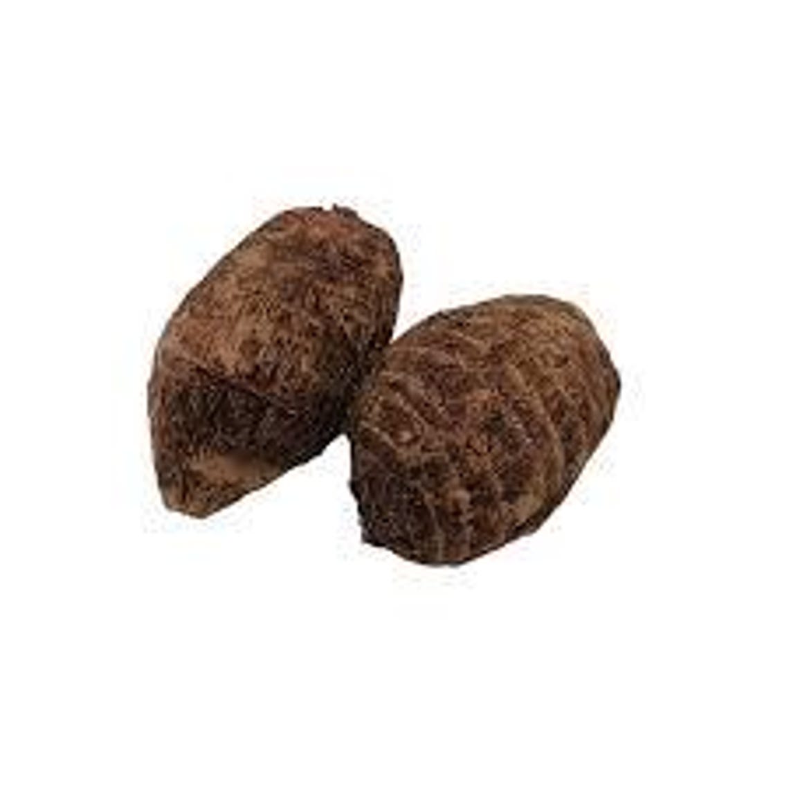 Fresh Taro Root - Premium Quality, Nutritious, & Versatile, Plant Taro ...