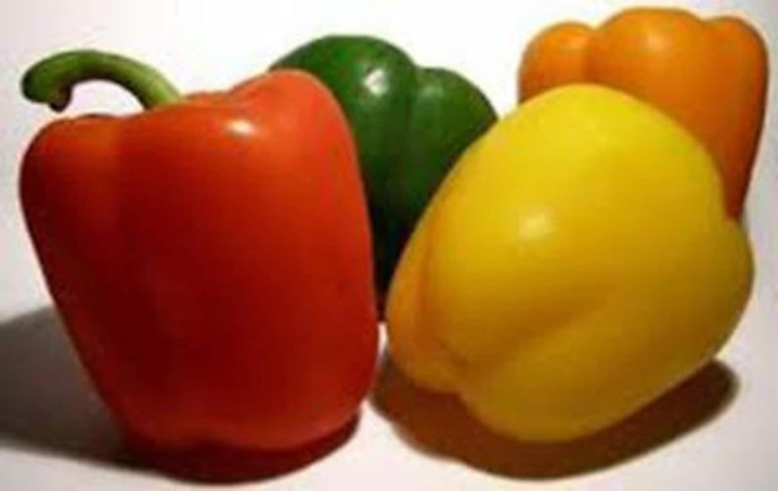 Pepper Seed Collection 6 Varieties Heirloom NON GMO | Etsy