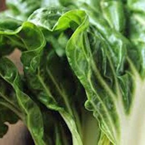 Swiss Chard, Large White Ribbed Swiss Chard Seeds, Heirloom, NON GMO ...
