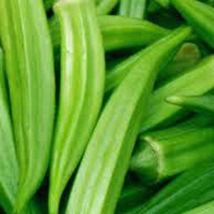 Okra, Emerald Okra Seeds, Heirloom, NON GMO, Country Creek Acres - Etsy