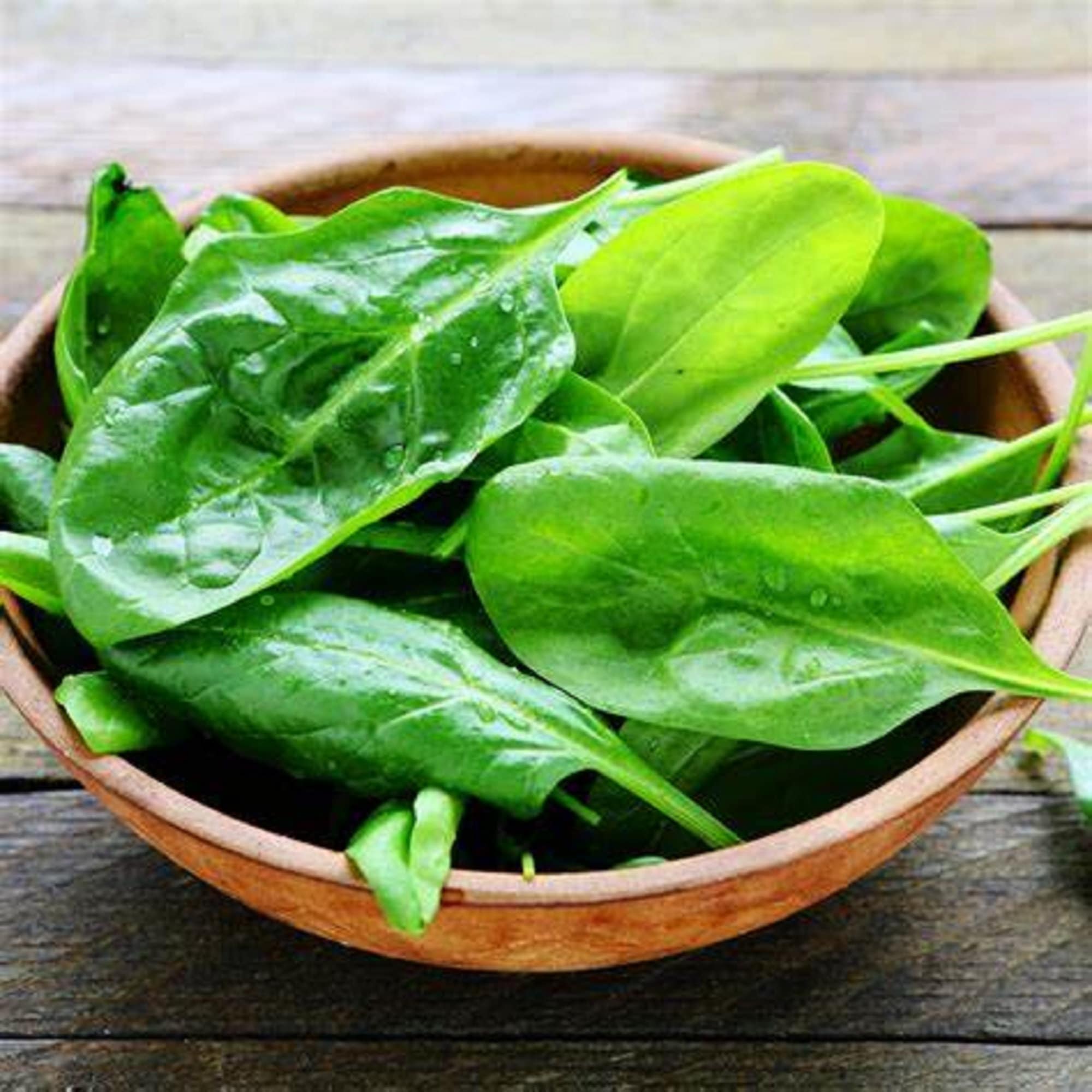 Spinach, America Spinach Seeds, Heirloom, NON GMO, Country Creek Acres ...