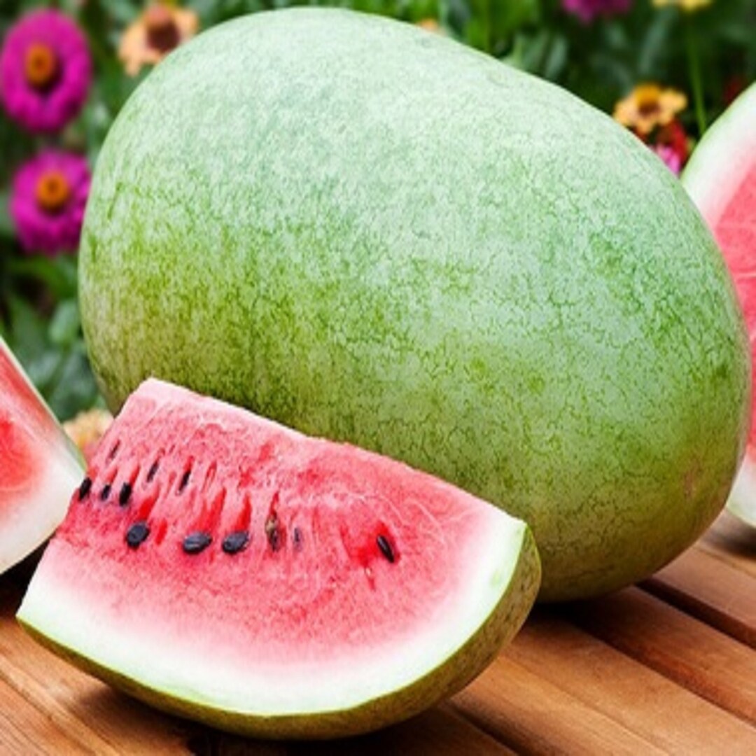Watermelon, Charleston Grey Watermelon Seeds, Heirloom, NON GMO ...