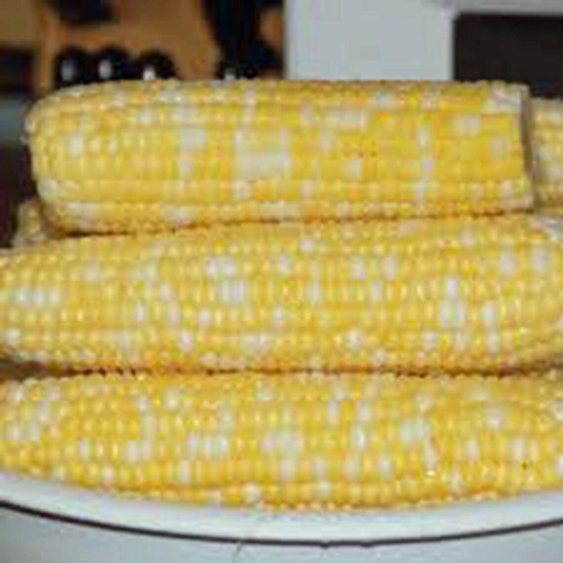 Corn, Bi-color Butter N Sugar Corn Seeds, Heirloom, NON GMO, Country ...