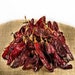 Guajillo Pepper, Whole Dried - Non-gmo - Delicious Fresh Spicy Dried ...