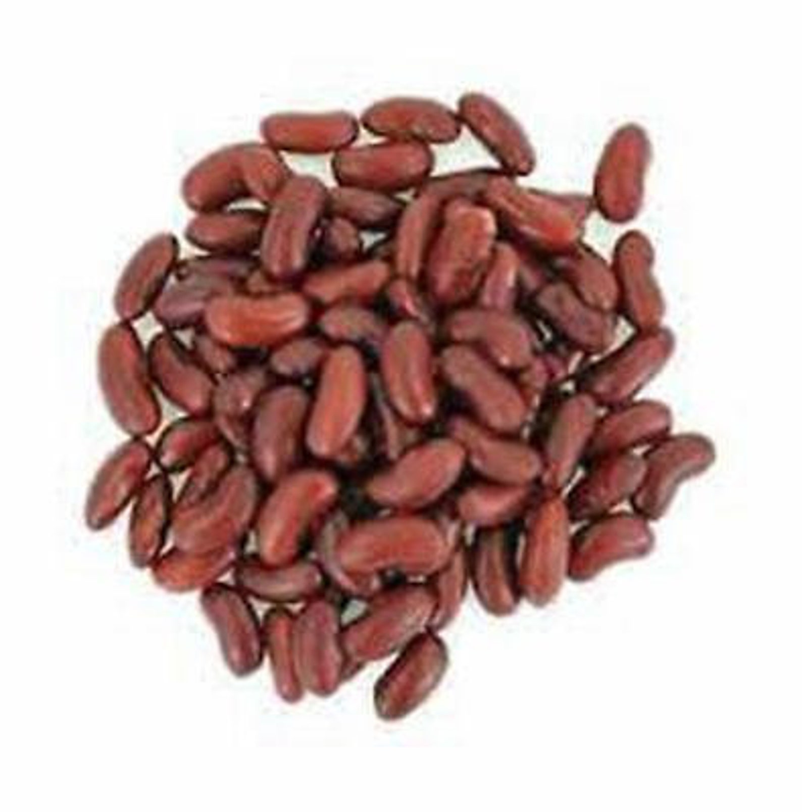Bean Seeds, Burpee Stringless Green Bean Seeds, Heirloom, Delicious ...