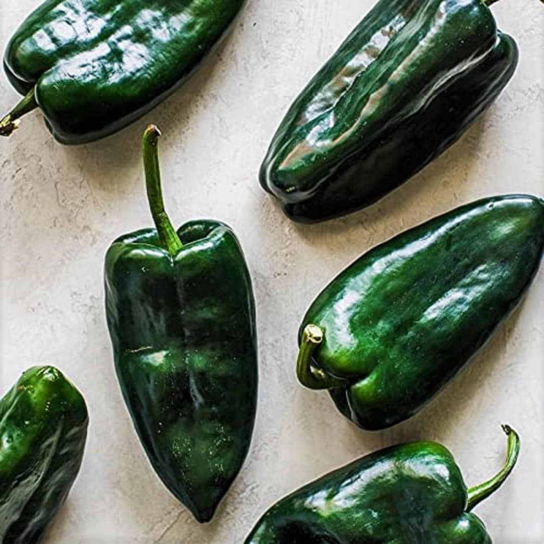 Poblano Pepper Seeds - Mild Heat, Rich Flavor. Perfect for Chiles ...