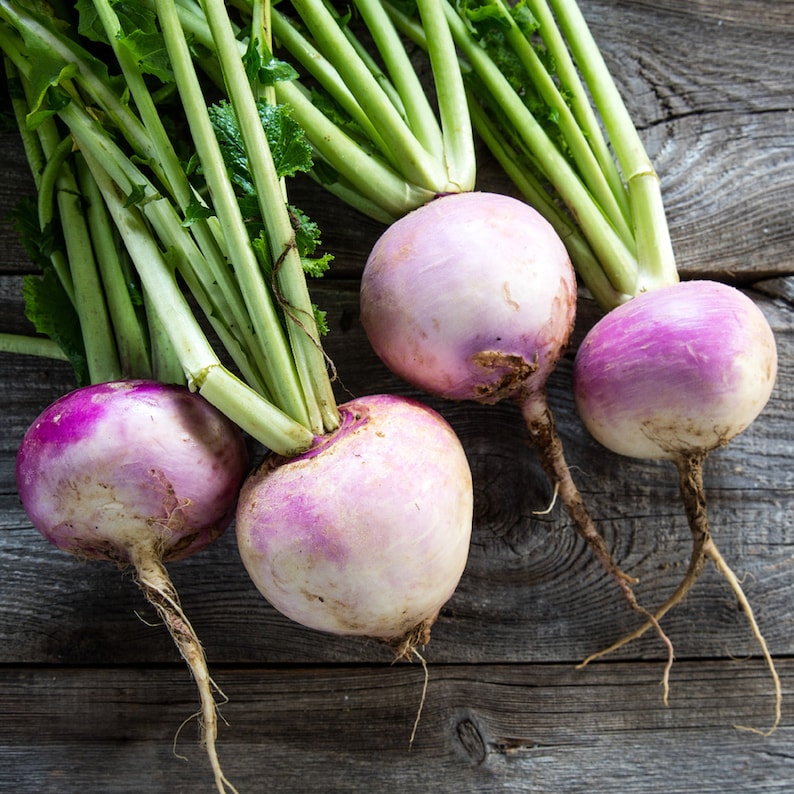 Root Vegetable Seed Garden Collection, 4 Varieties, Heirloom, Country ...