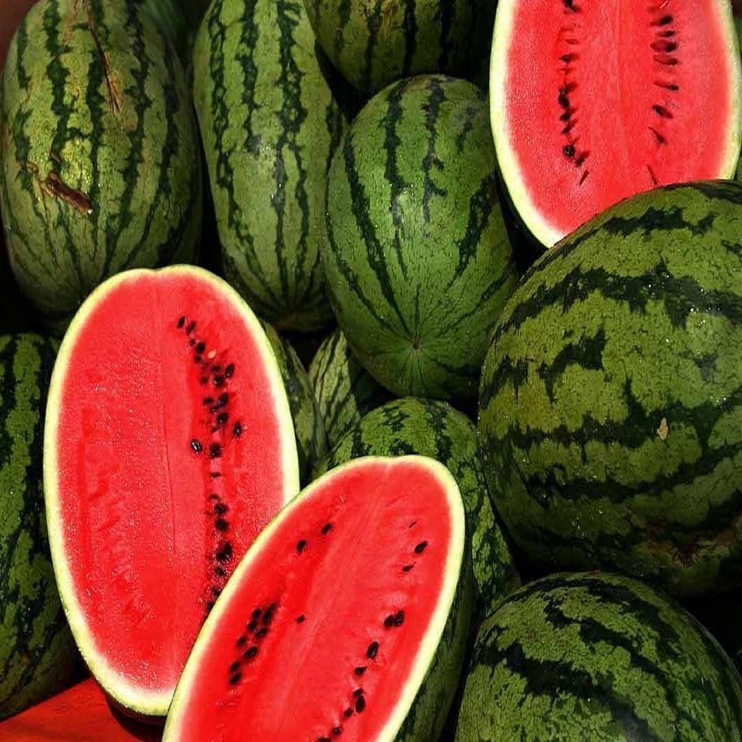 Watermelon, Kleckley's Sweet Watermelon Seeds, Heirloom, NON GMO ...