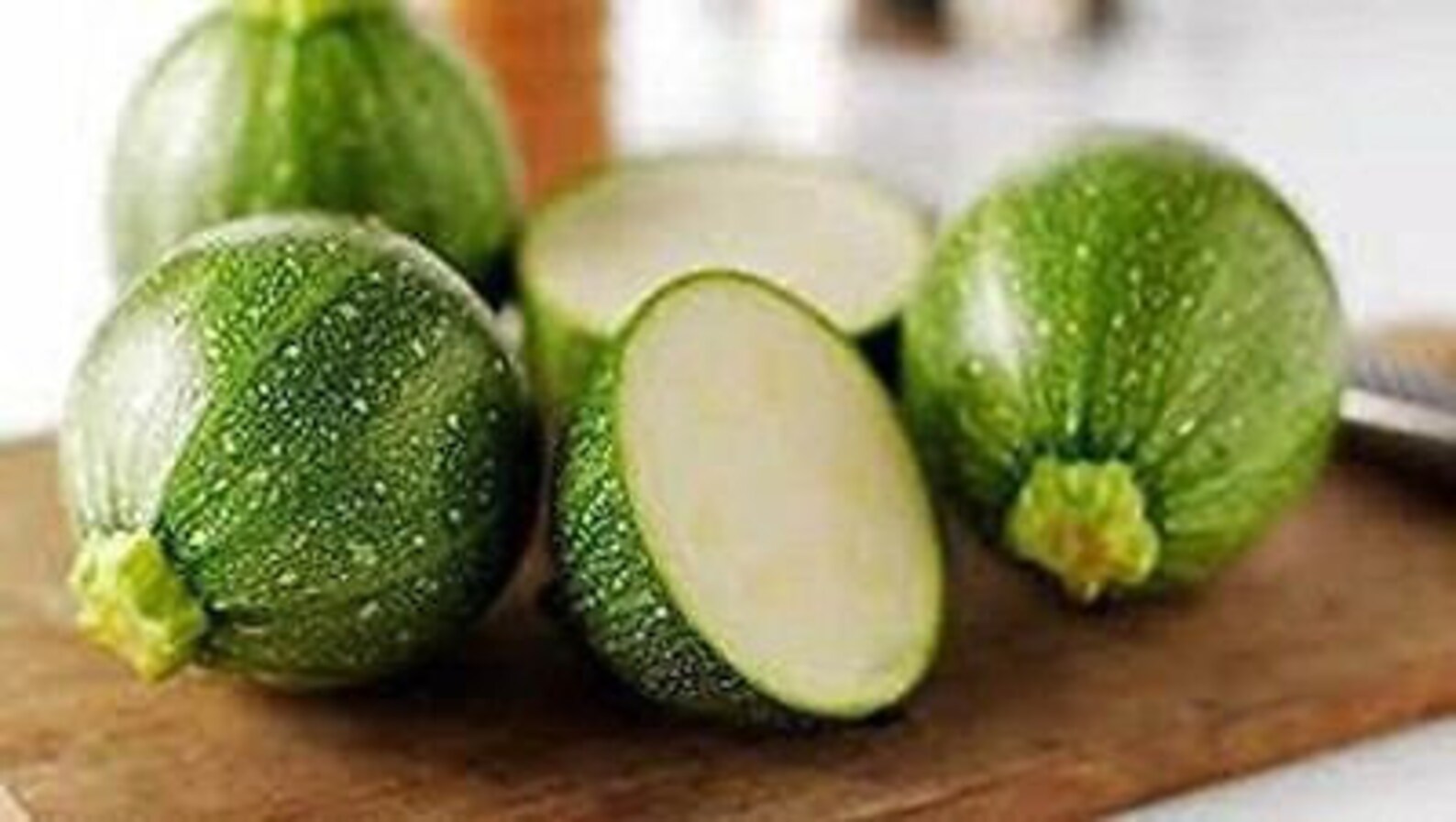 Zucchini Round Zucchini Squash Seeds Heirloom NON GMO | Etsy