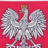 Polish Eagle Orzel Decal Sticker Polska Poland - Etsy