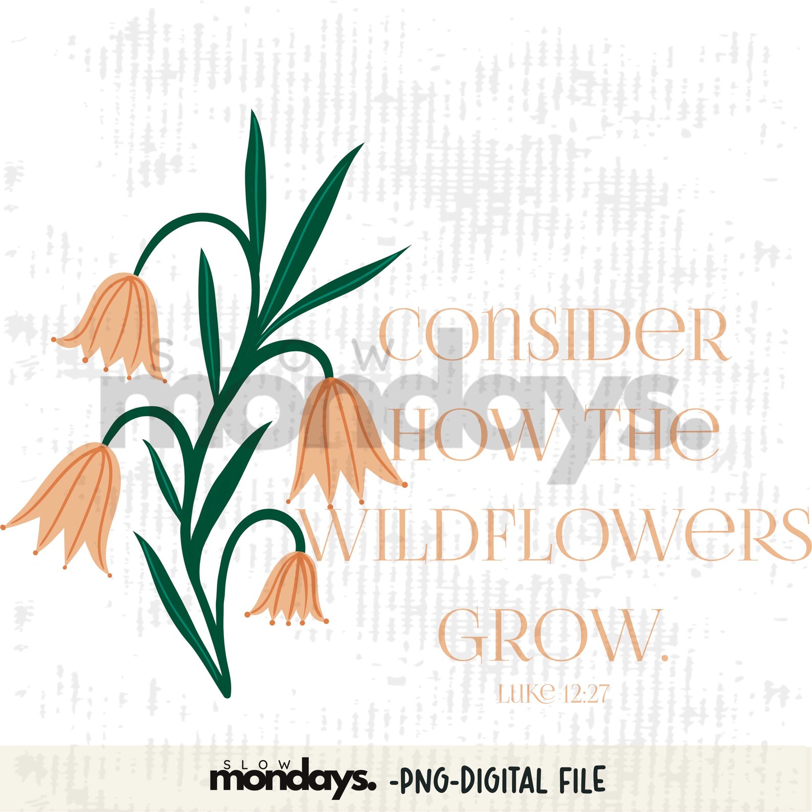 Consider How the Wildflowers Grow Png, Luke 12:27 Png, Bible Png ...