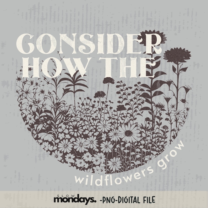 Consider How the Wildflowers Grow Png, Luke 12:27 Png, Bible Png ...