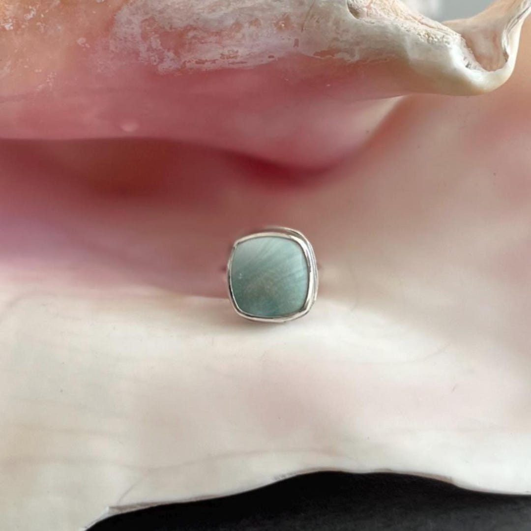 Spiral Shell Ring - Etsy