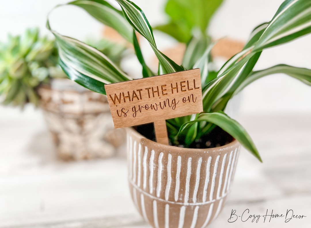Funny Plant Stakes, Plant Markers, Garden Stakes, Garden Decor, Plant ...
