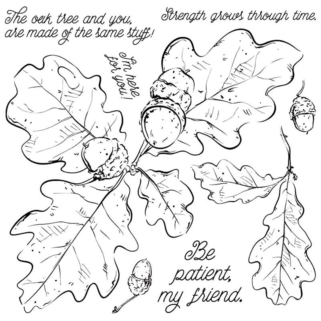 Be Patience My Friend Transparent Clear Stamp for DIY Scrapbooking ...