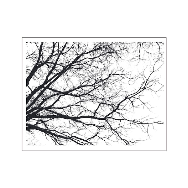 Bare Tree Stamp - Etsy