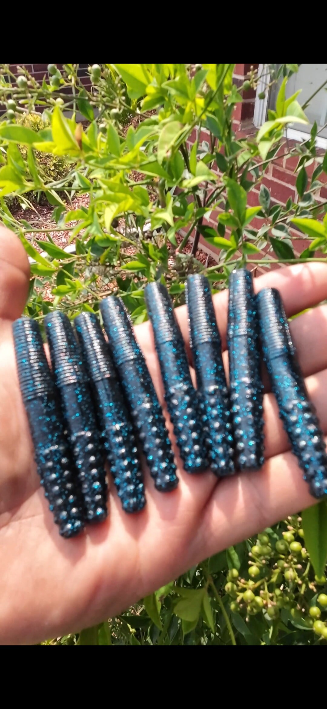 2.7" Ned Worms Black & Blue Color (8 Pack) - Etsy