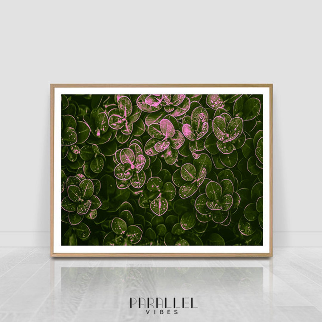 Botanical Leaves Poster,tropical Plant, Printable Wall Art,leaf Digital ...