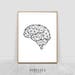 Printable Brain Art Anatomy Brain Print Art Human Cerebrum | Etsy