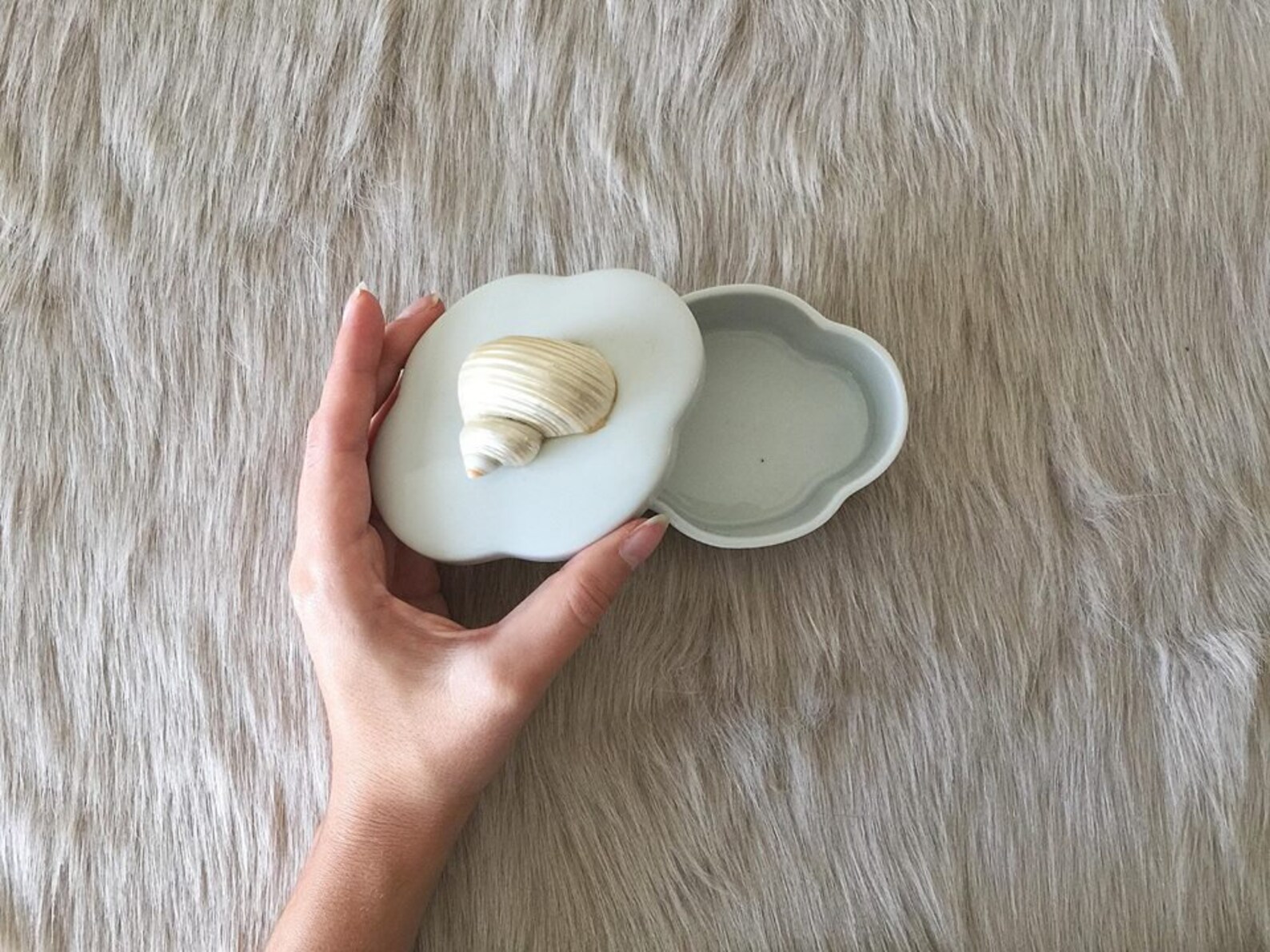 Rosenthal Netter Shell Porcelain Box Handcrafted in Japan for - Etsy