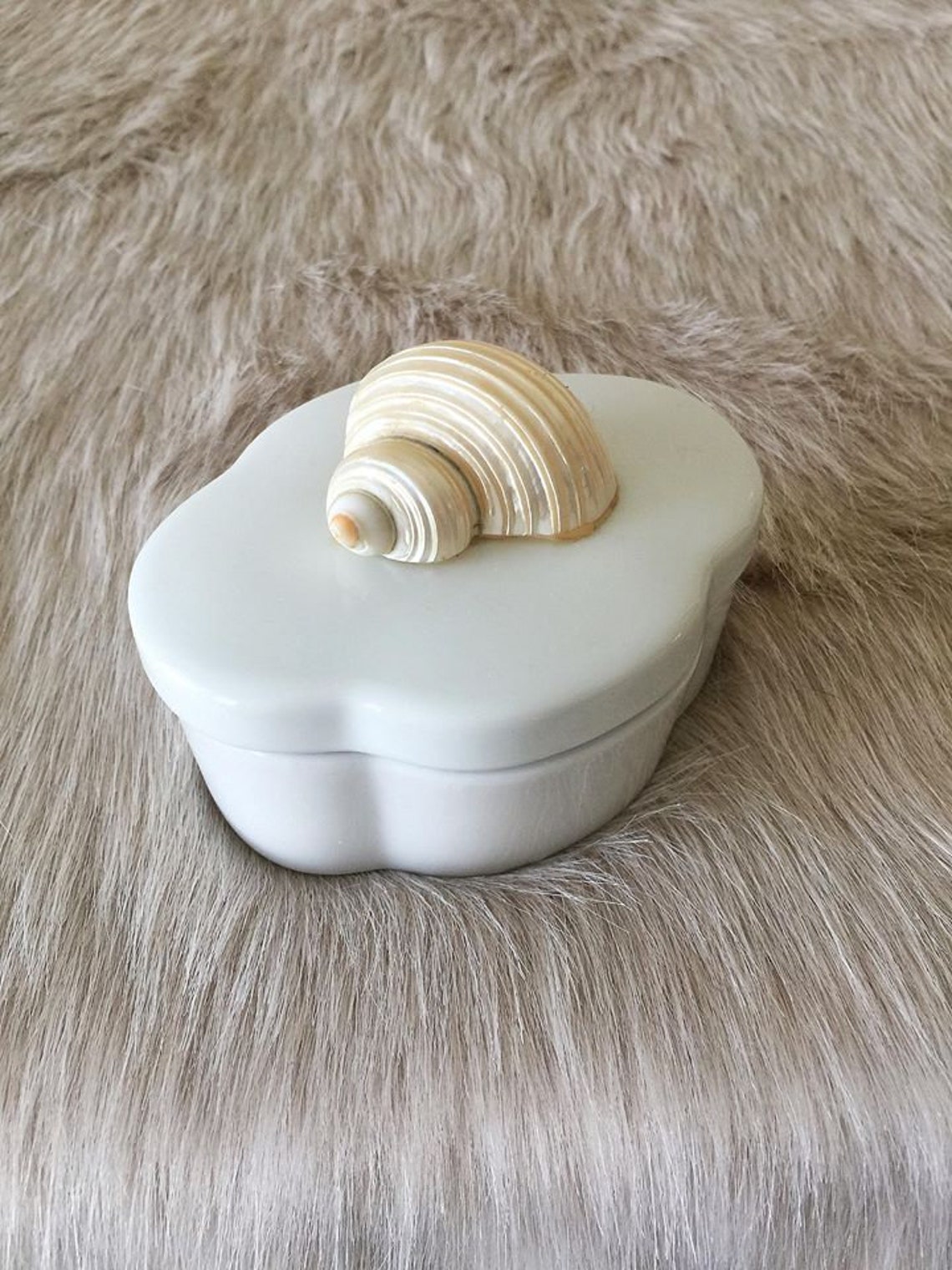 Rosenthal Netter Shell Porcelain Box Handcrafted in Japan for - Etsy