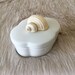 Rosenthal Netter Shell Porcelain Box Handcrafted in Japan for - Etsy