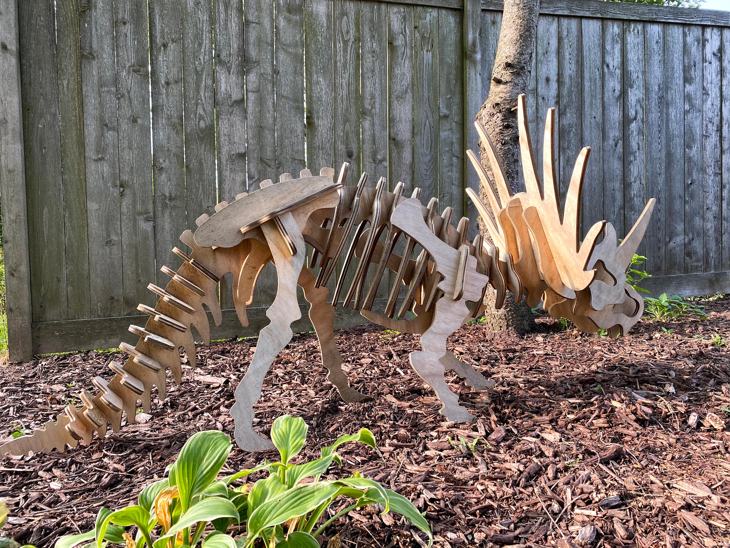 Styracosaurus Skeleton