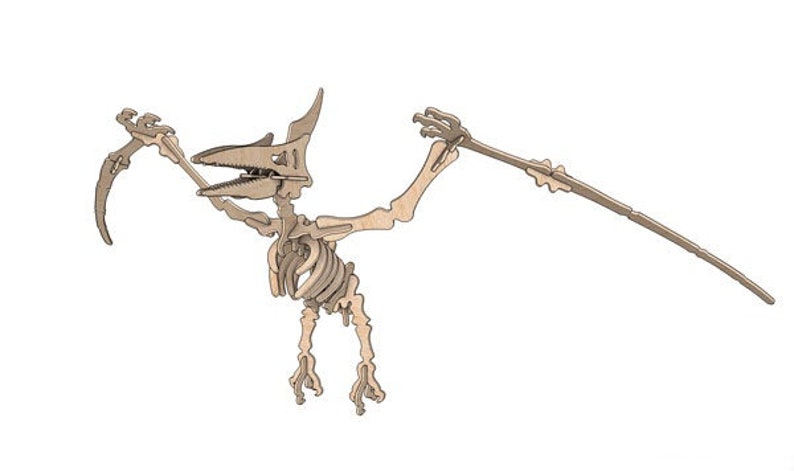 Giant Pterodactyl Puzzle: 3D Plywood Dinosaur Kit - Etsy