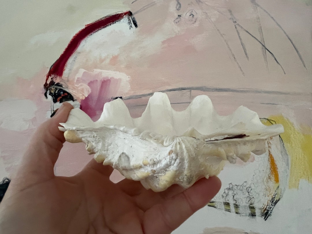 Natural Ocean Creamy Frilled Ruffle Clam Shell Soap Dish - Etsy UK