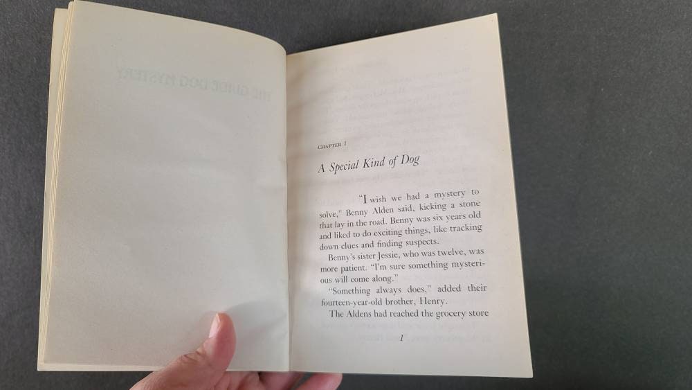 The Boxcar Children The Guide Dog Mystery | Etsy