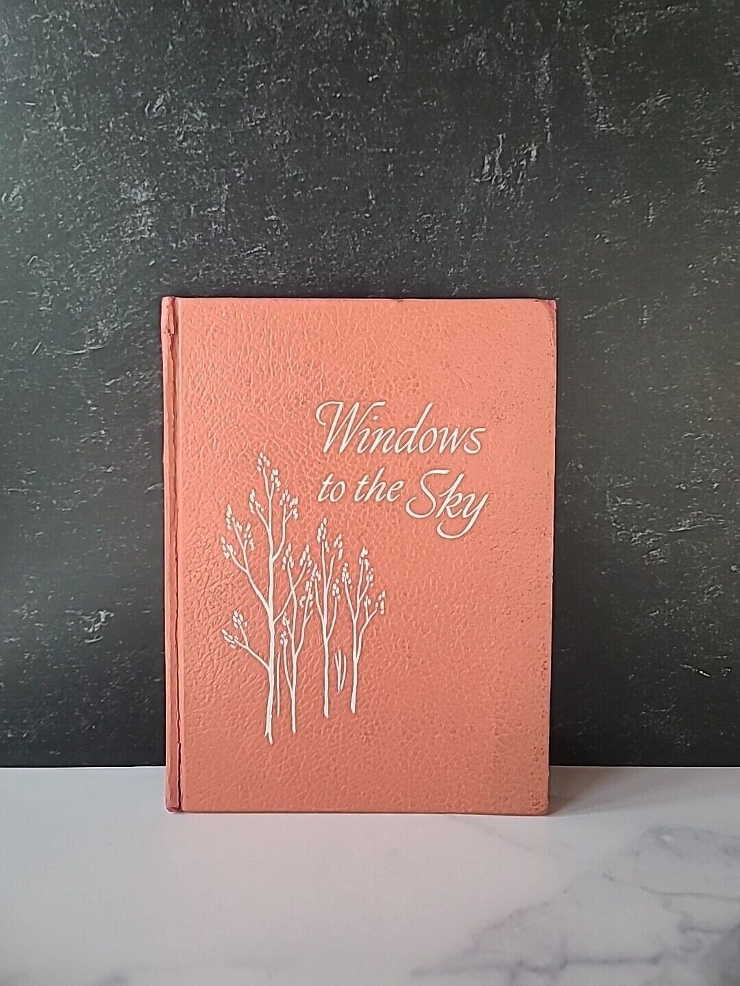 Windows to the Sky - Etsy