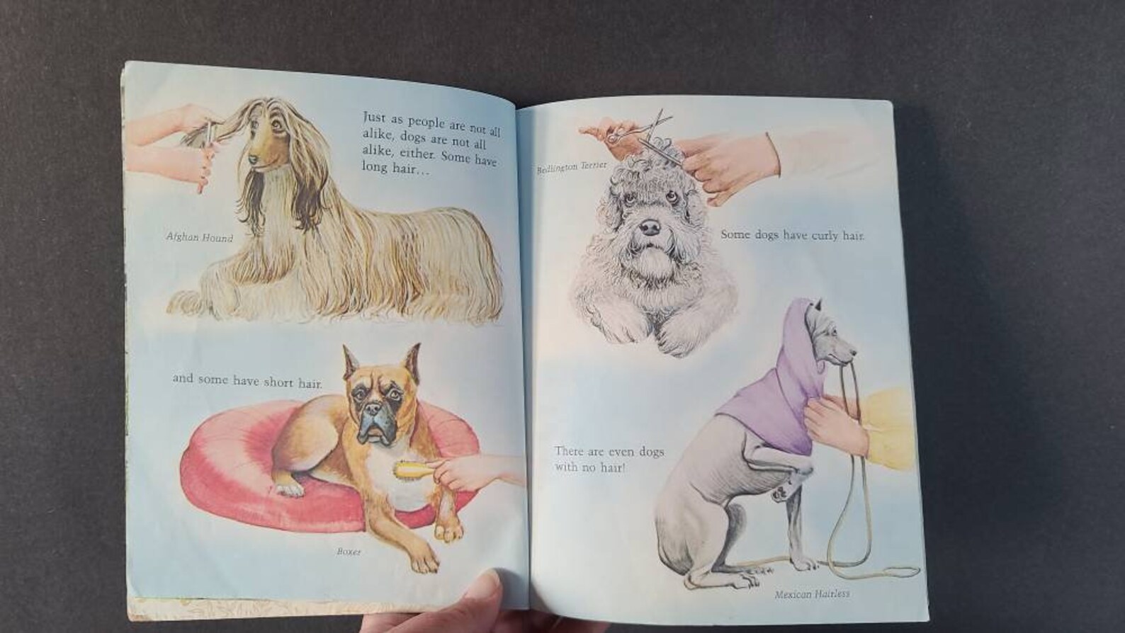 Dogs A Little Golden Book - Etsy