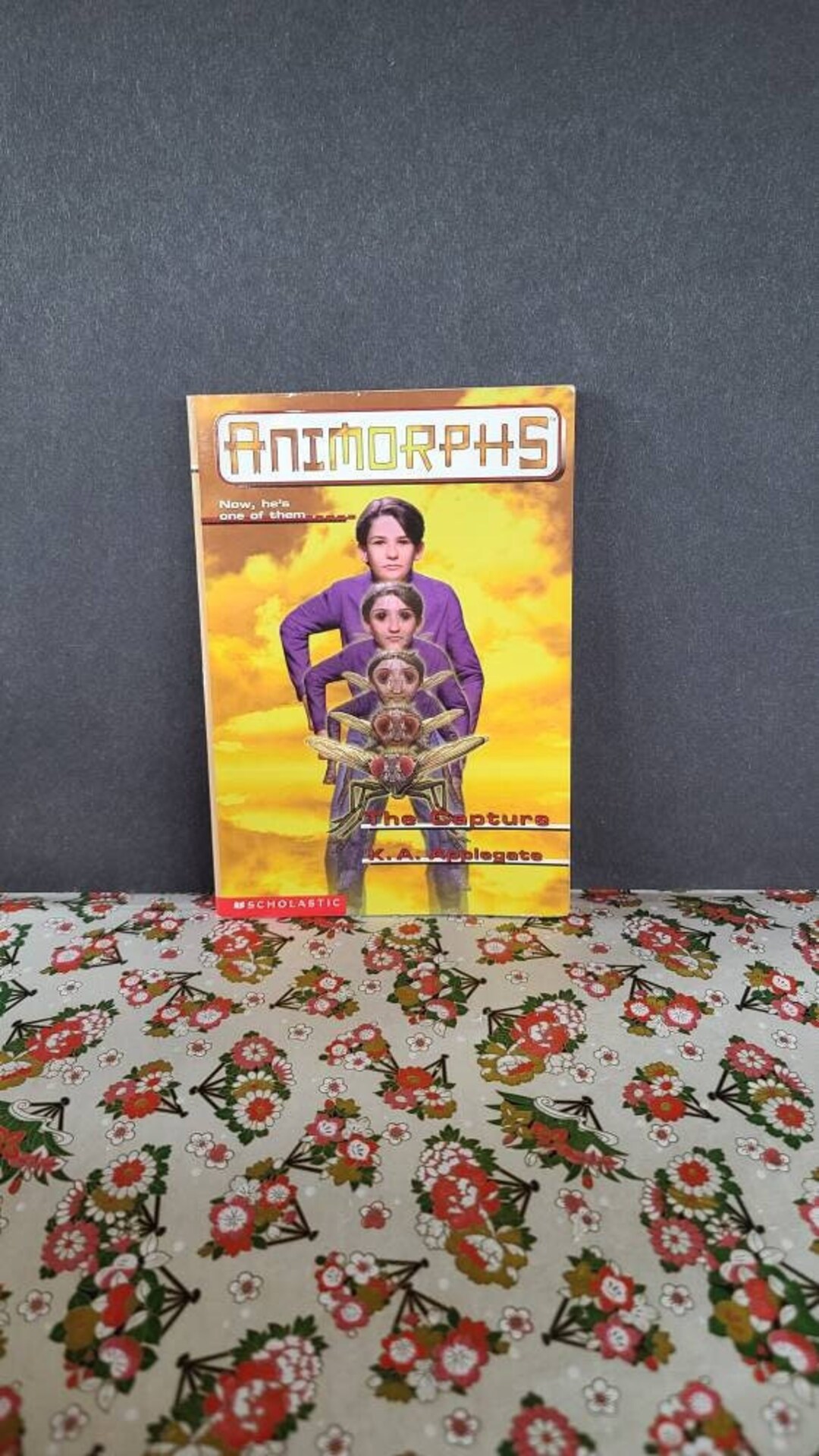 Animorphs #6: the Capture - K.A. Applegate, 1997 - Etsy