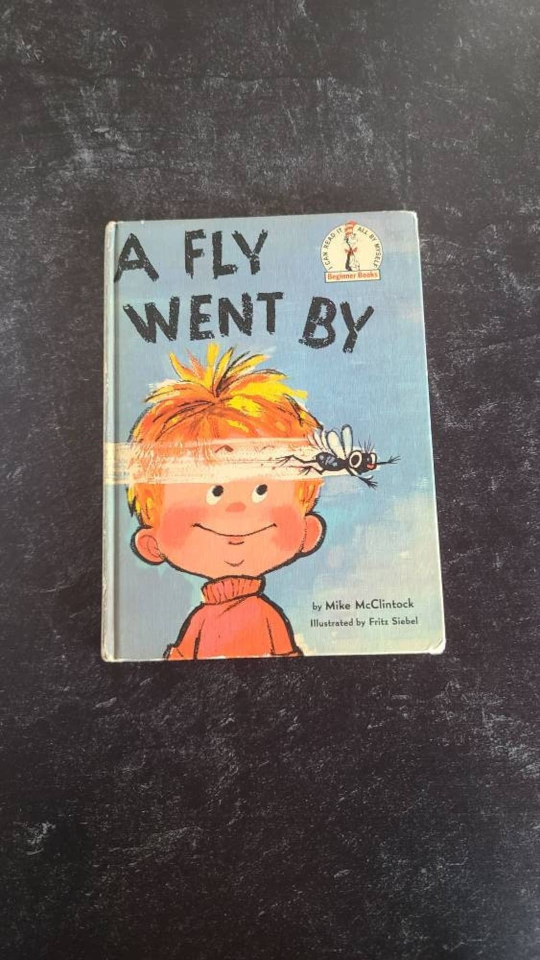 A Fly Went By - Etsy