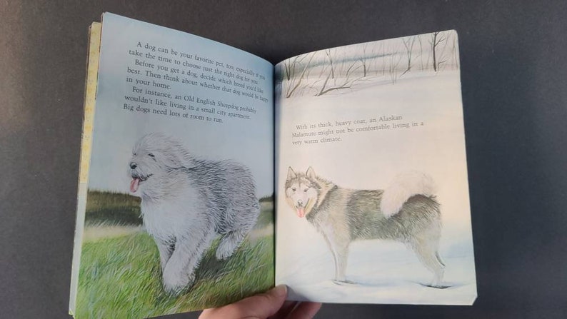 Dogs A Little Golden Book - Etsy