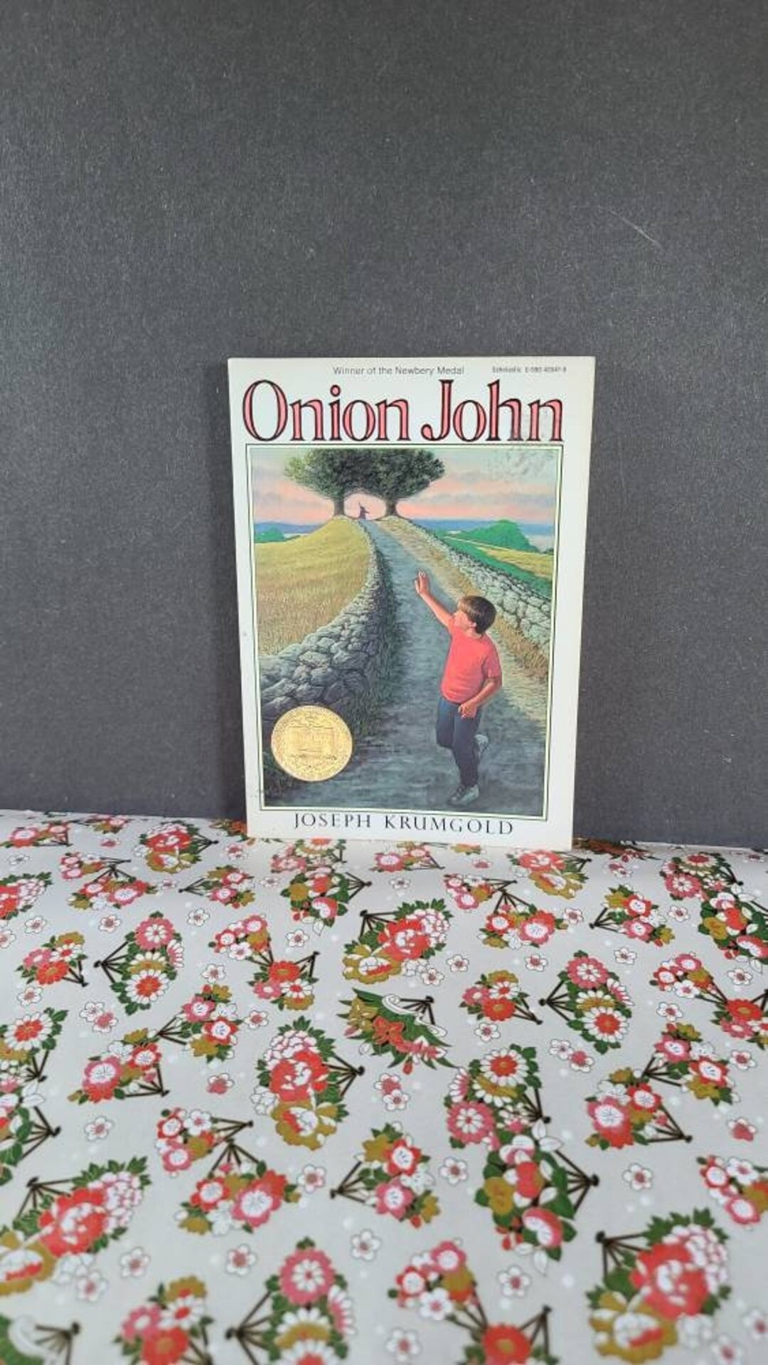 Onion John by Joseph Krumgold, 1987 Edition - Etsy