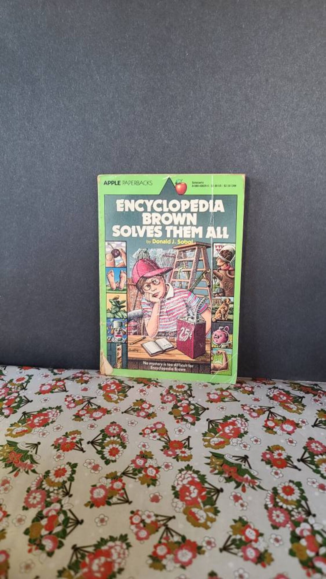 Encyclopedia Brown Solves Them All - Etsy
