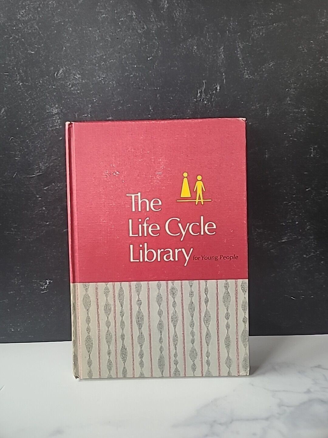 The Life Cycle Library for Young People - Etsy UK